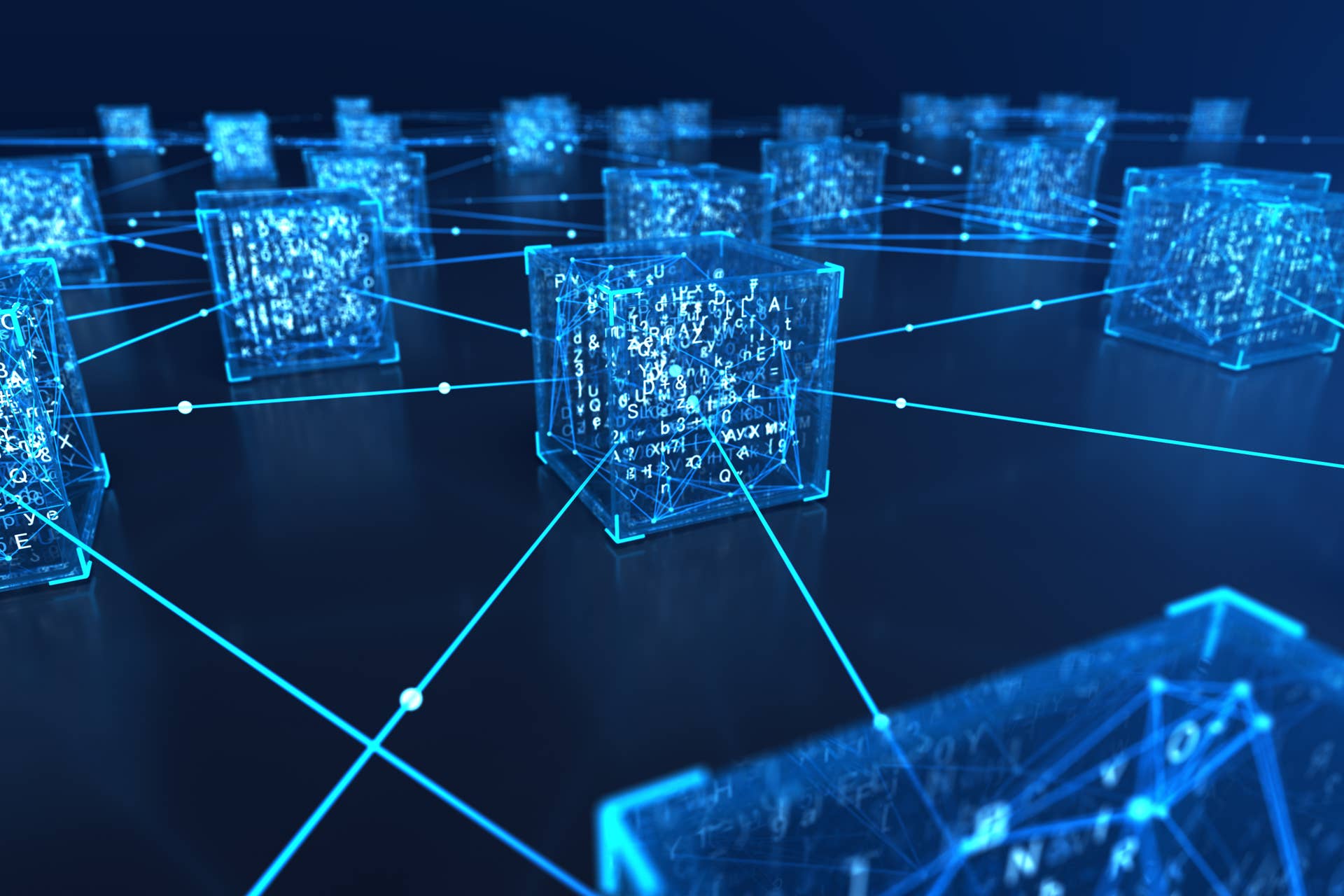WalletConnect founder says crypto will be in every company one day ...
