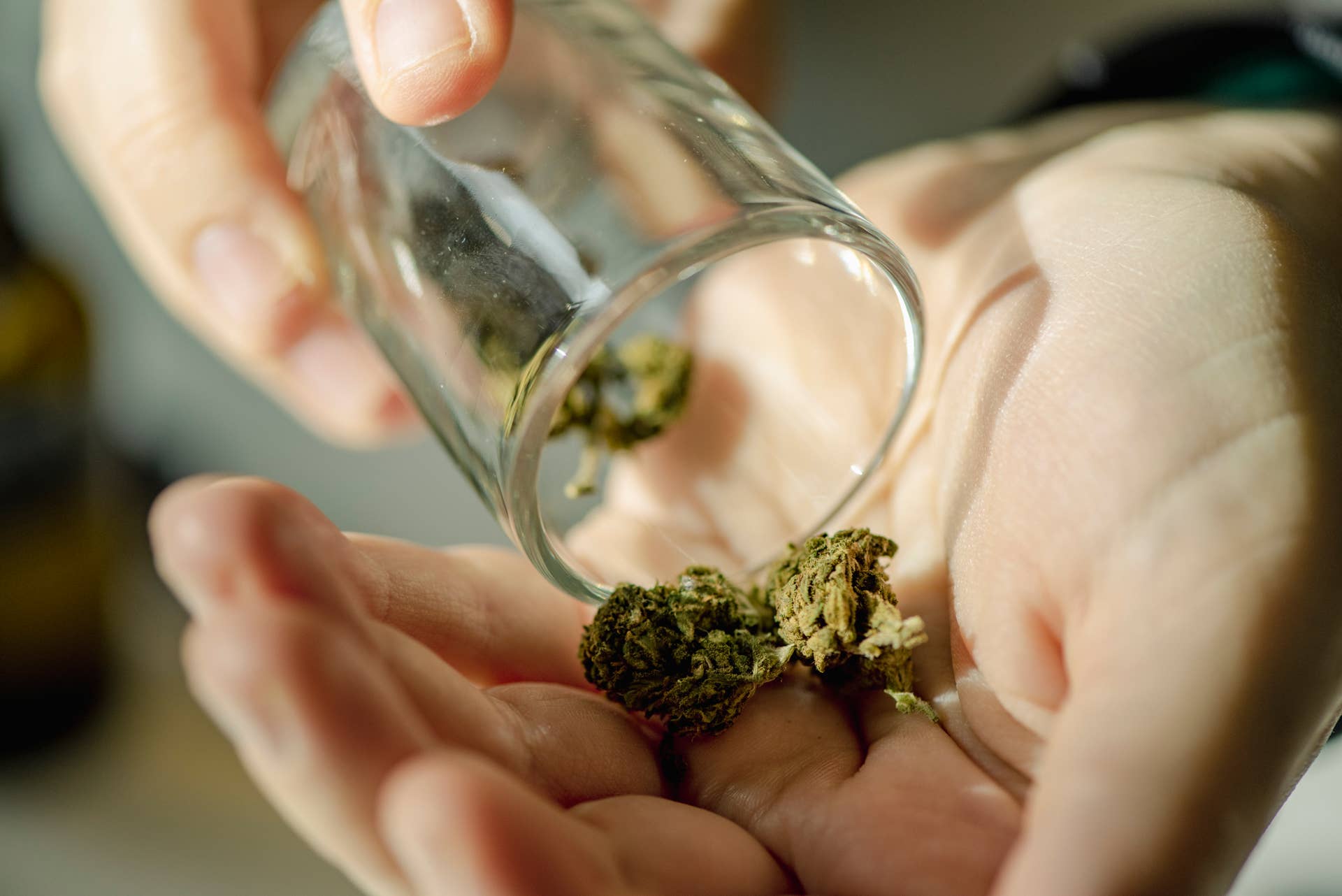 Hemp at the Statehouse: Legislative Update, May 14, 2026 - TheStreet ...
