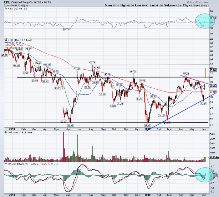 Campbell Soup - New Highs Coming on Earnings Beat - TheStreet