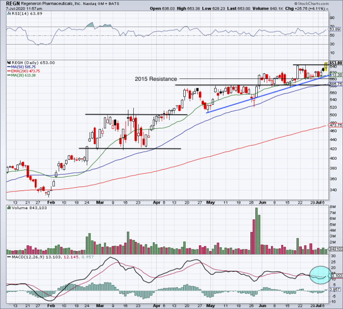 Trading Regeneron as It Hits New Highs on Government’s $450M Deal ...