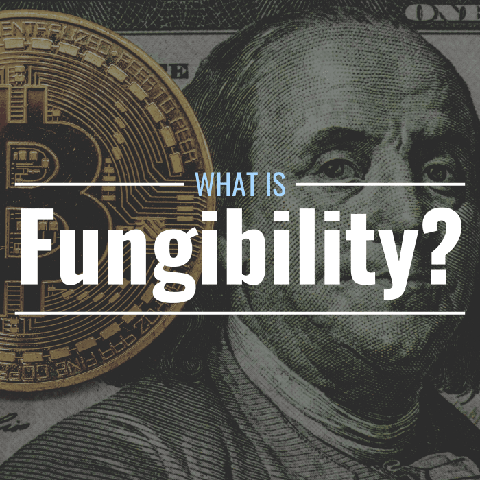 What Does Fungible Mean? Definition, Explanation & Examples - TheStreet