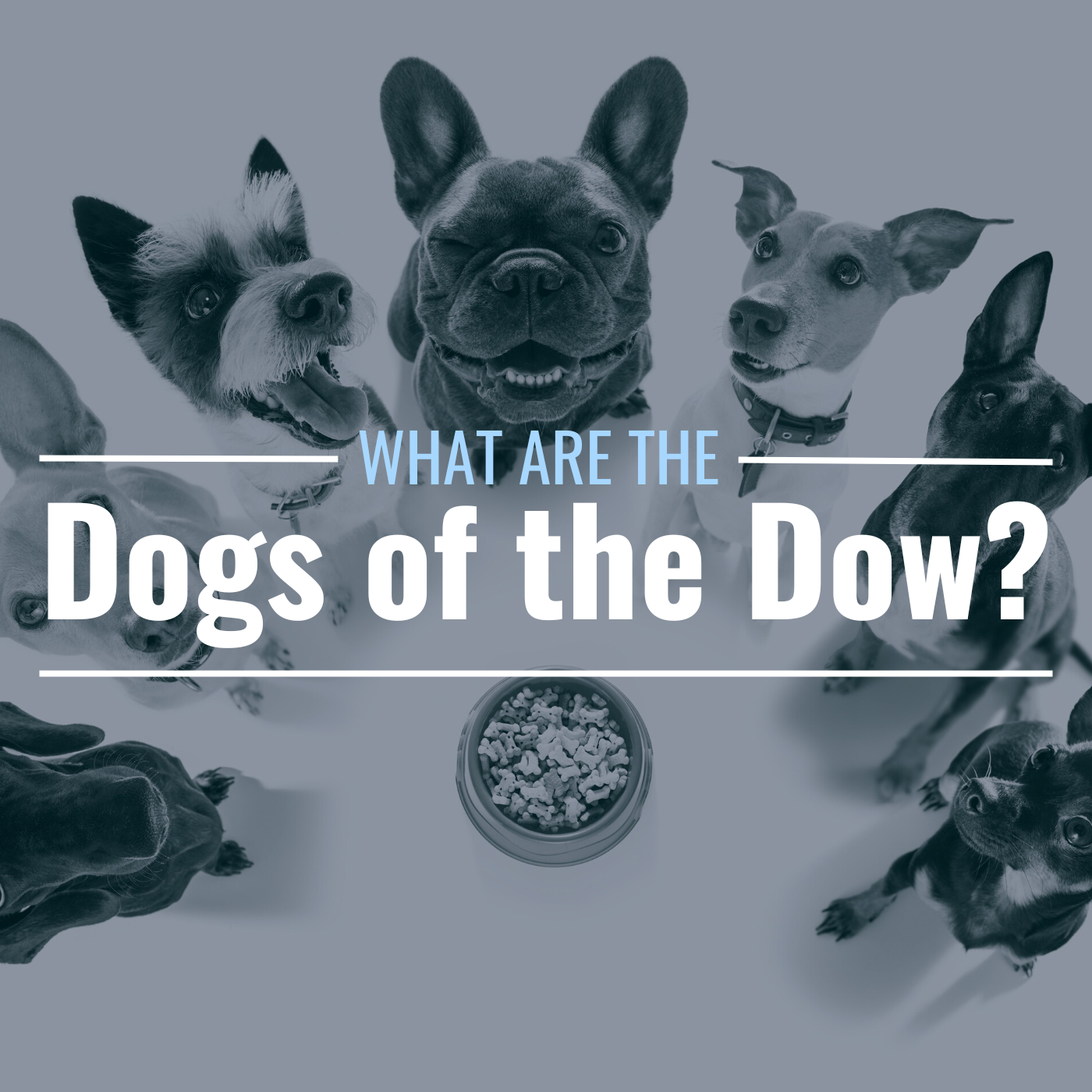 What Are the Dogs of the Dow? How Do I Invest in Them? - TheStreet