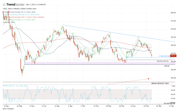 Costco Stock Nears a Must-Hold Support Level After Earnings Dip - TheStreet