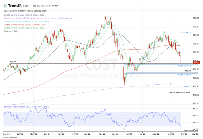 Costco's Earnings Dip: Two Levels to Watch - TheStreet