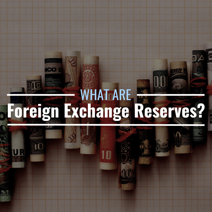 What Are Foreign Exchange Reserves? Definition & Importance - TheStreet