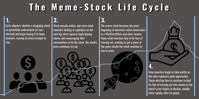 What are meme stocks & why do they matter? Definition & risk - TheStreet
