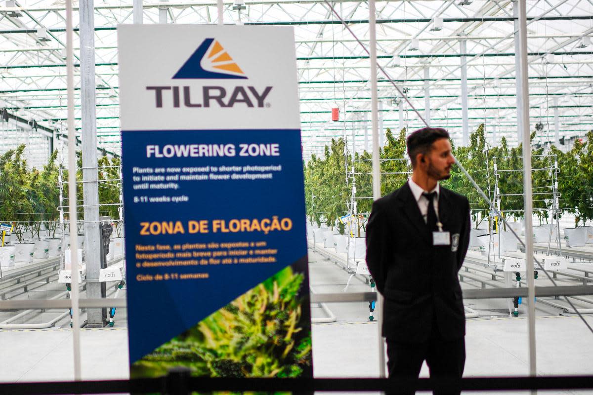 Tilray Signs First Deal to Sell Cannabis to Germany From Portugal ...