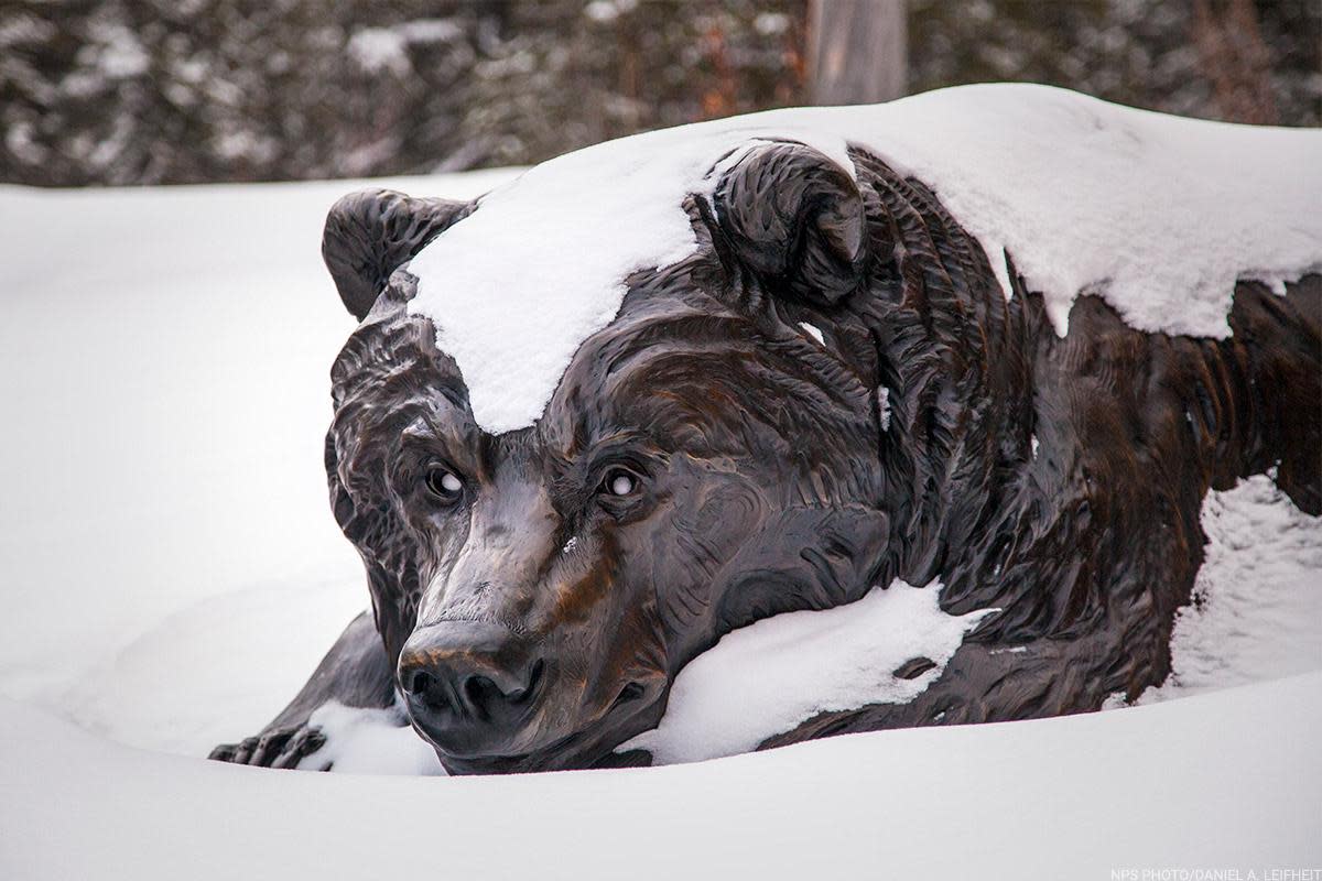 Inverted U.S. Yield Curve Turns Long-Time Bull More Bearish - TheStreet