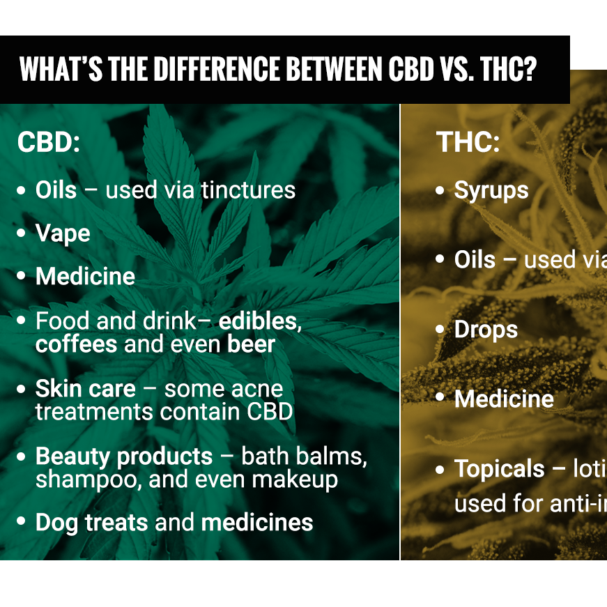 How Thc Vs Cbd For Pain Relief What s Better For Treating Pain Can How Thc Vs Cbd For Pain Relief What s Better For Treating Pain Can