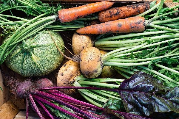 Three Questions to Ask About the Food You Eat - TheStreet