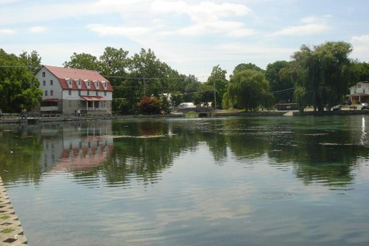 Quirky but Proud: 30 Unusual High School Mascots - TheStreet