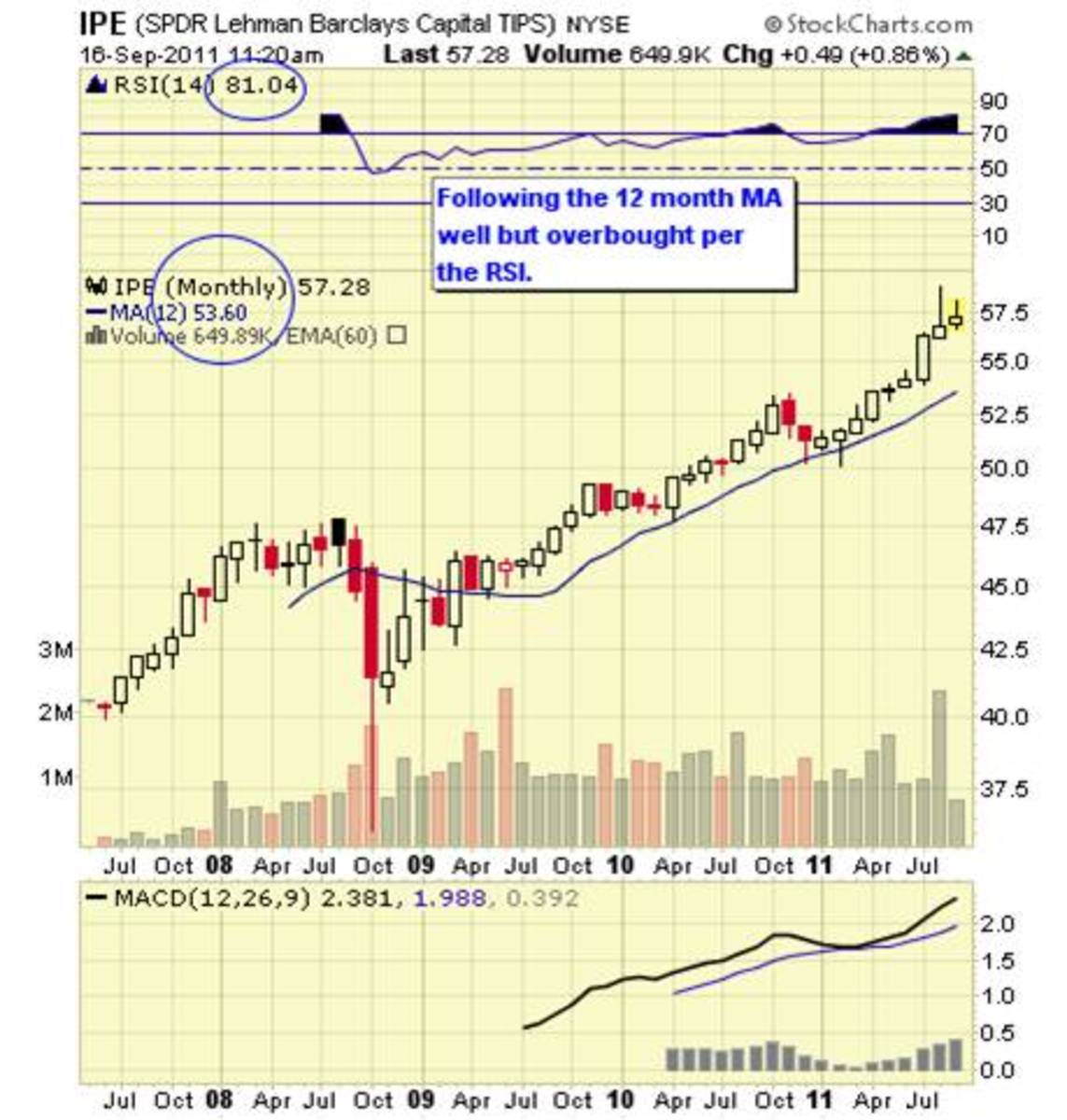 Top 10 Government and Inflation-Protected Bond ETFs - TheStreet