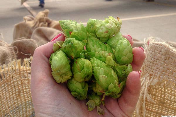 18 Rare Beers That You Can Only Find Right Now - TheStreet