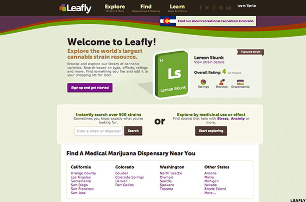 The Top 5 Marijuana Web Sites - TheStreet