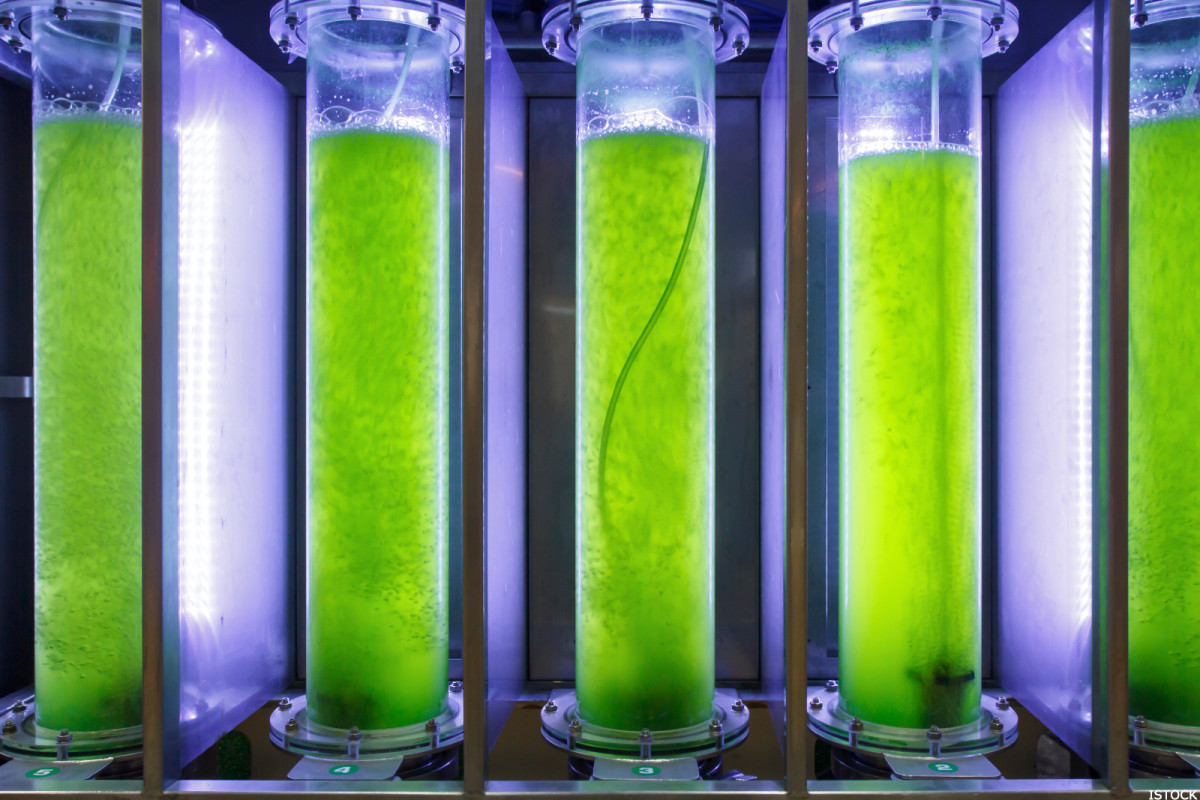 4 Biotech Stocks Under $10 to Trade for Breakouts - TheStreet