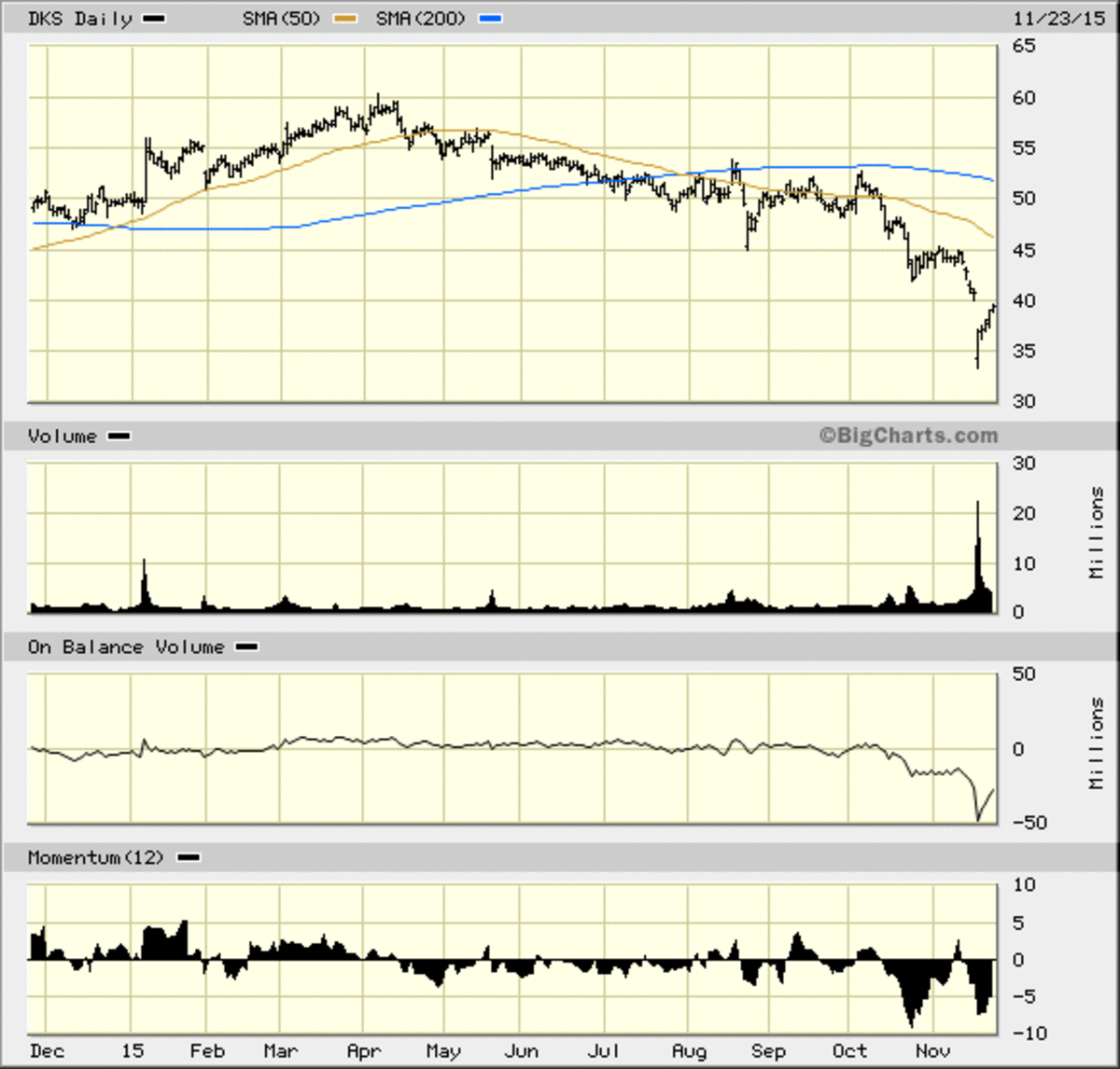 Dick's Sporting Goods (DKS) Stock: On the DL for Now - TheStreet