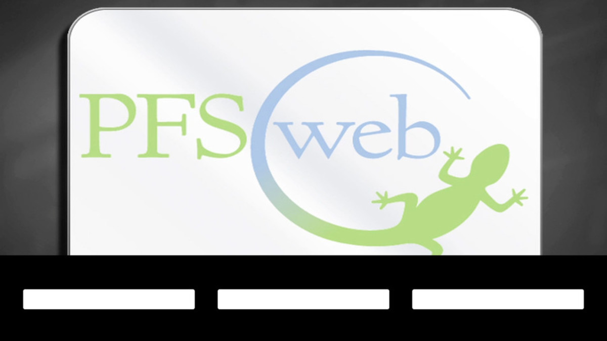 PFSweb CEO: "Omni-Channel" Retailing the Next Big Thing - TheStreet