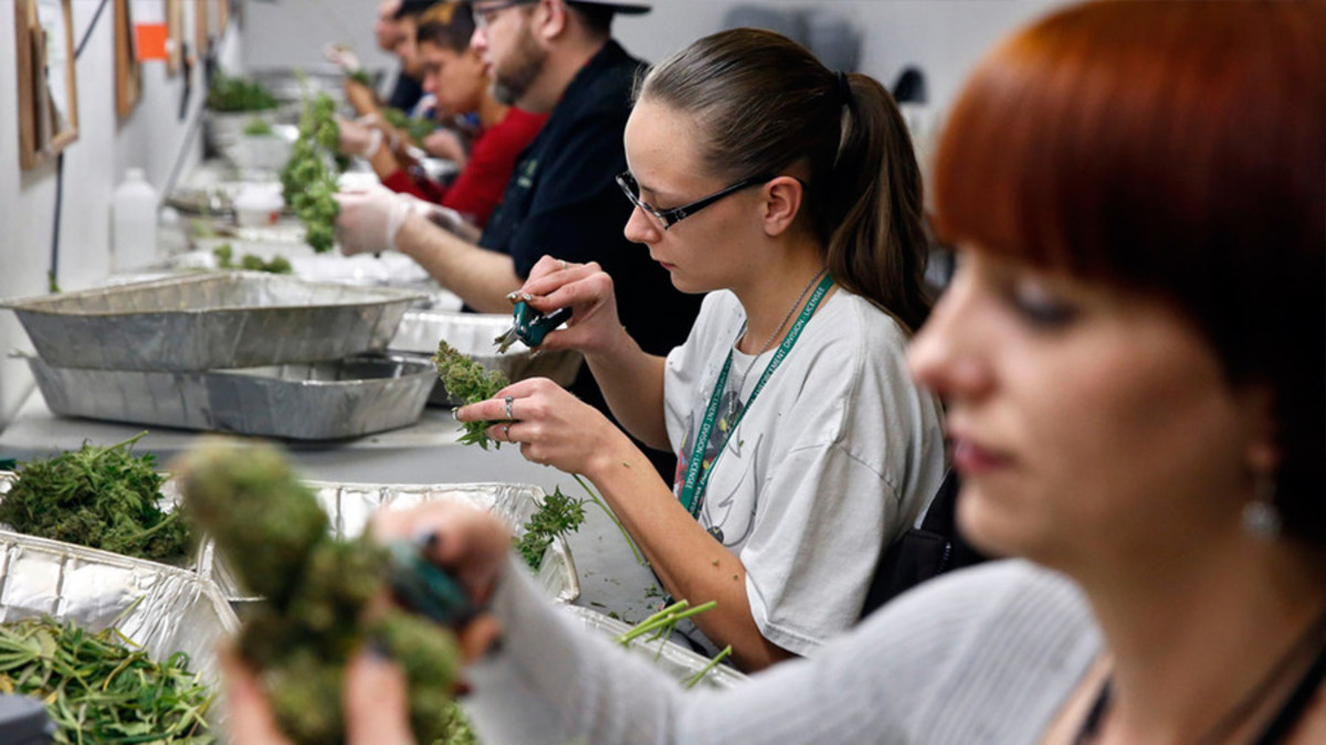 Weedmaps Will Go Public Through Silver Spike SPAC Merger - TheStreet