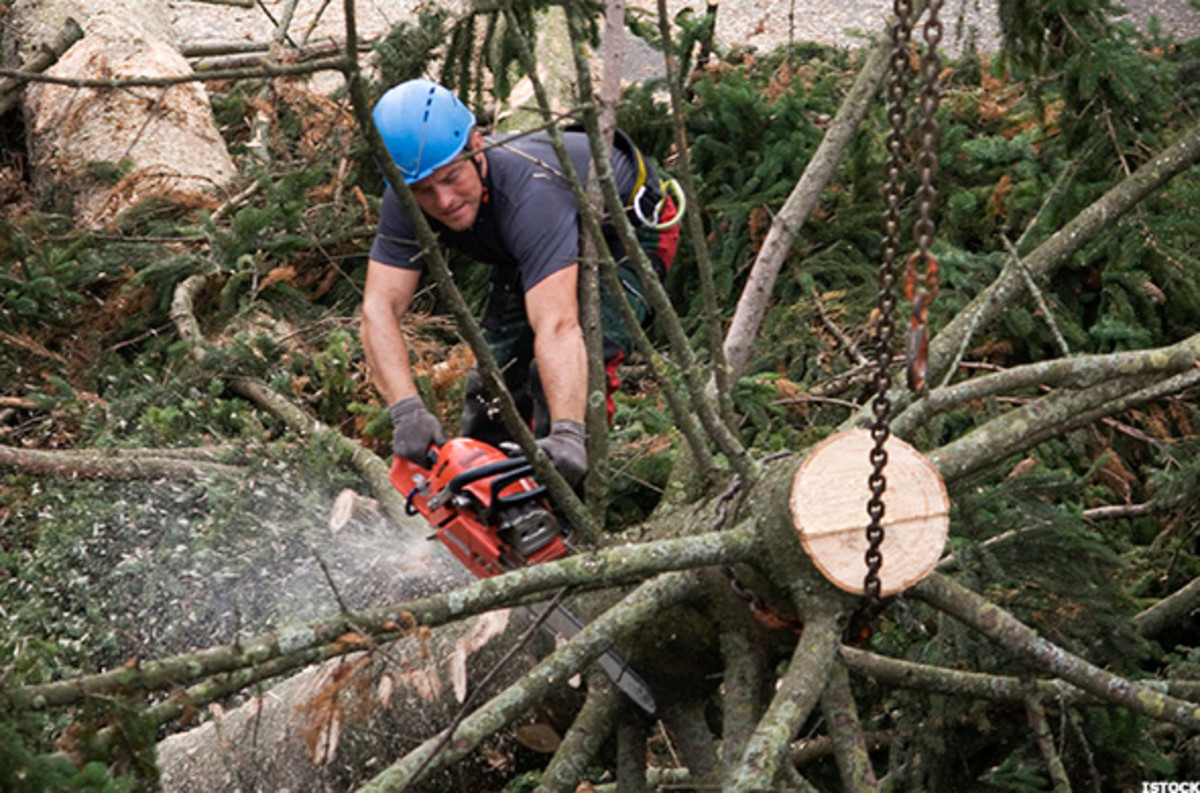 How Gold & Lumber Can Tell You What’s Next for Equities: Market ...