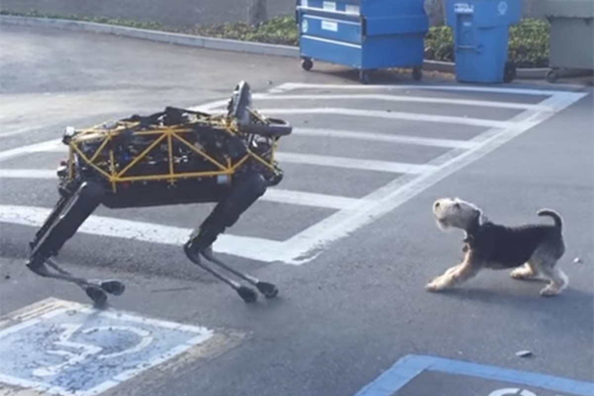 Watch Google's (GOOGL) Adorable Robot Dog Interact With a Real-Life Dog ...