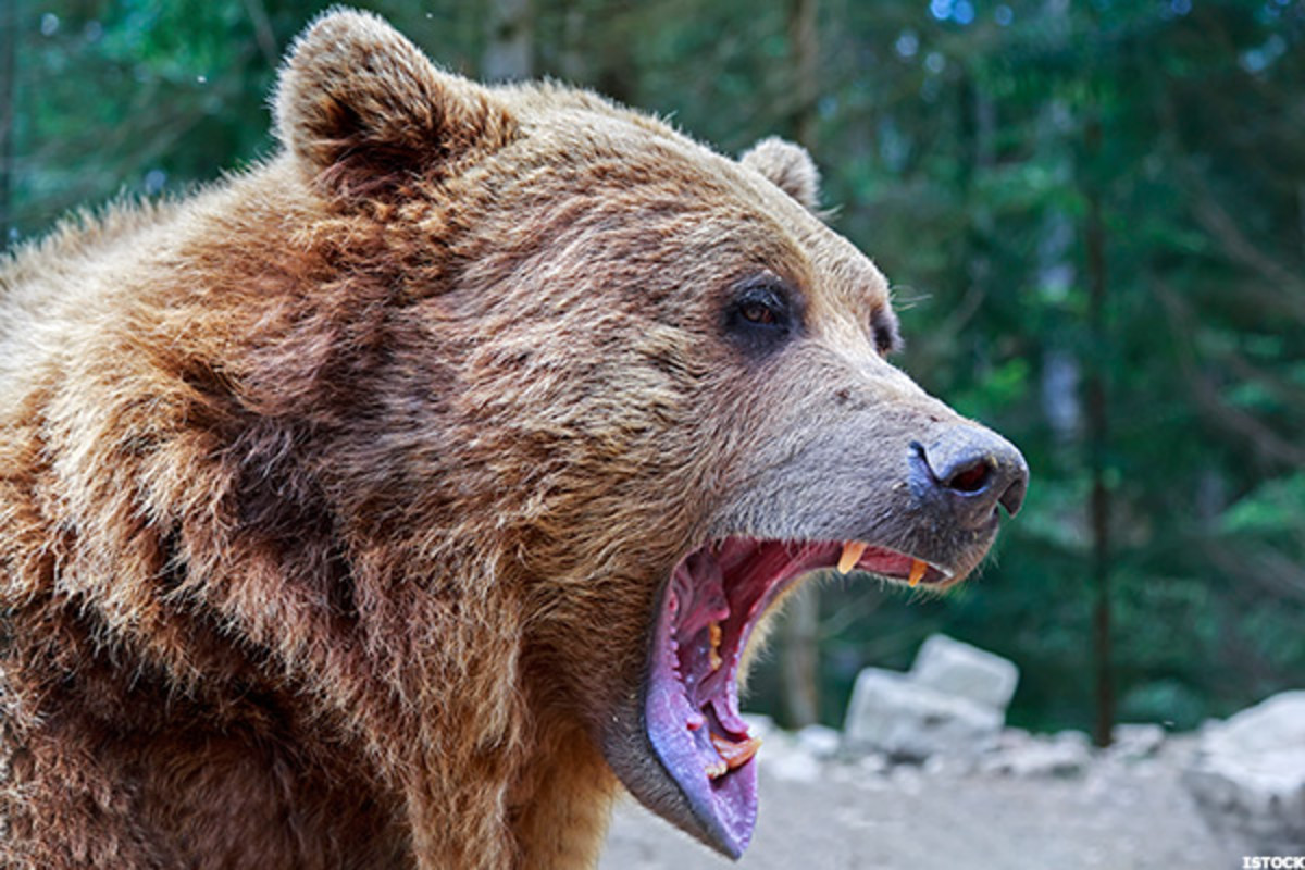 These Key Charts Tracking the Bear's Approach - TheStreet