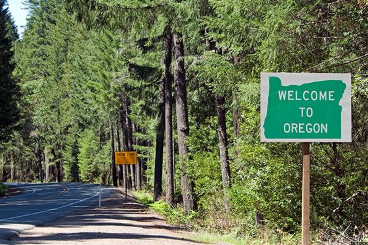 The Cost of Building Vs. Buying a Home in 46 States - TheStreet