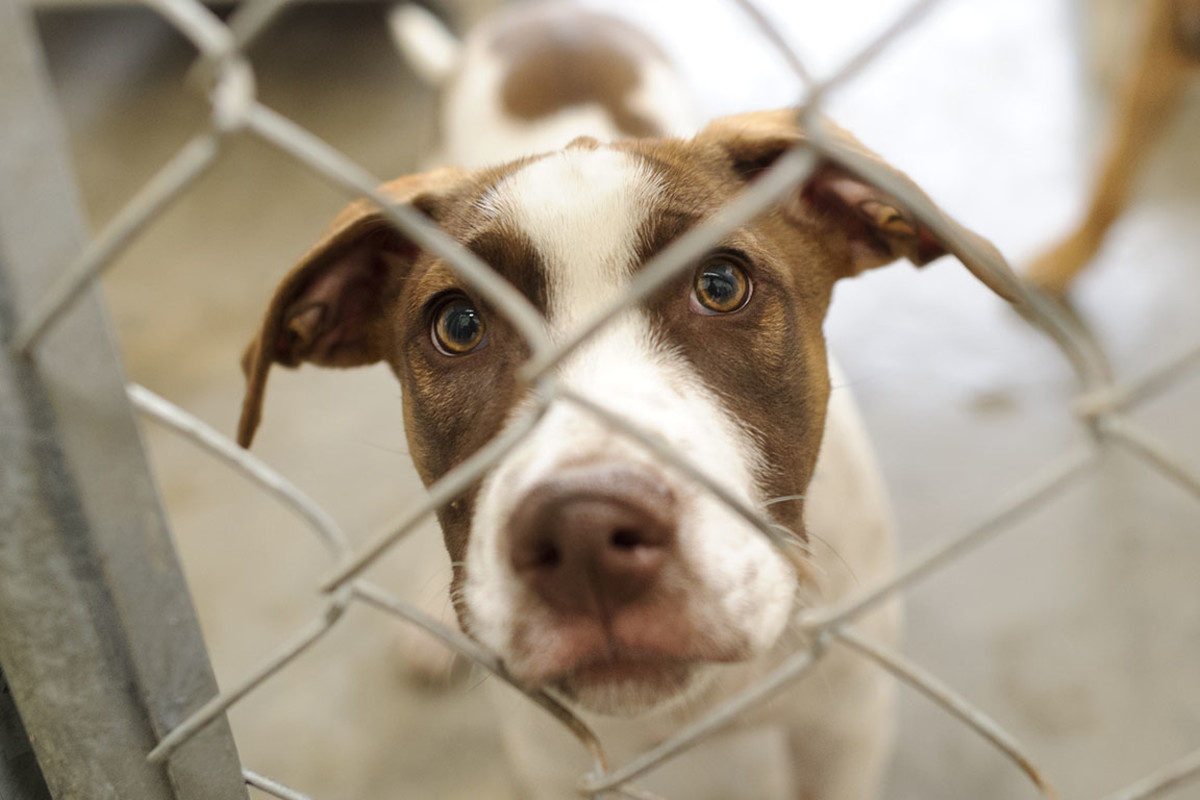 Give Wisely With These Top-Rated Charities - TheStreet