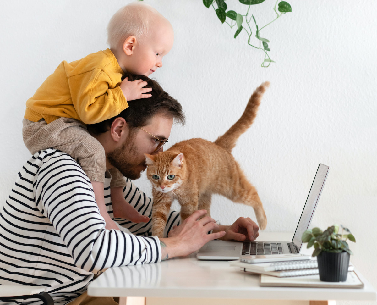 How to Work From Home Like a Pro - TheStreet