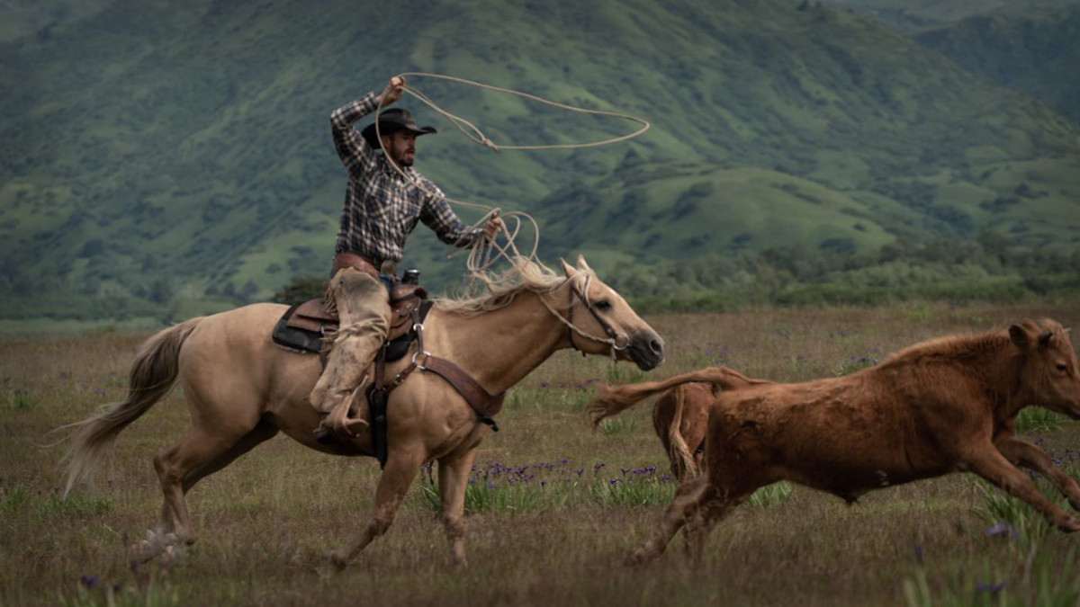 Jim Cramer Talks With Boot Barn CEO - TheStreet