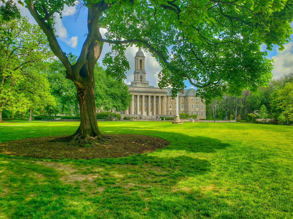 These Are the Greenest Colleges in the U.S. - TheStreet