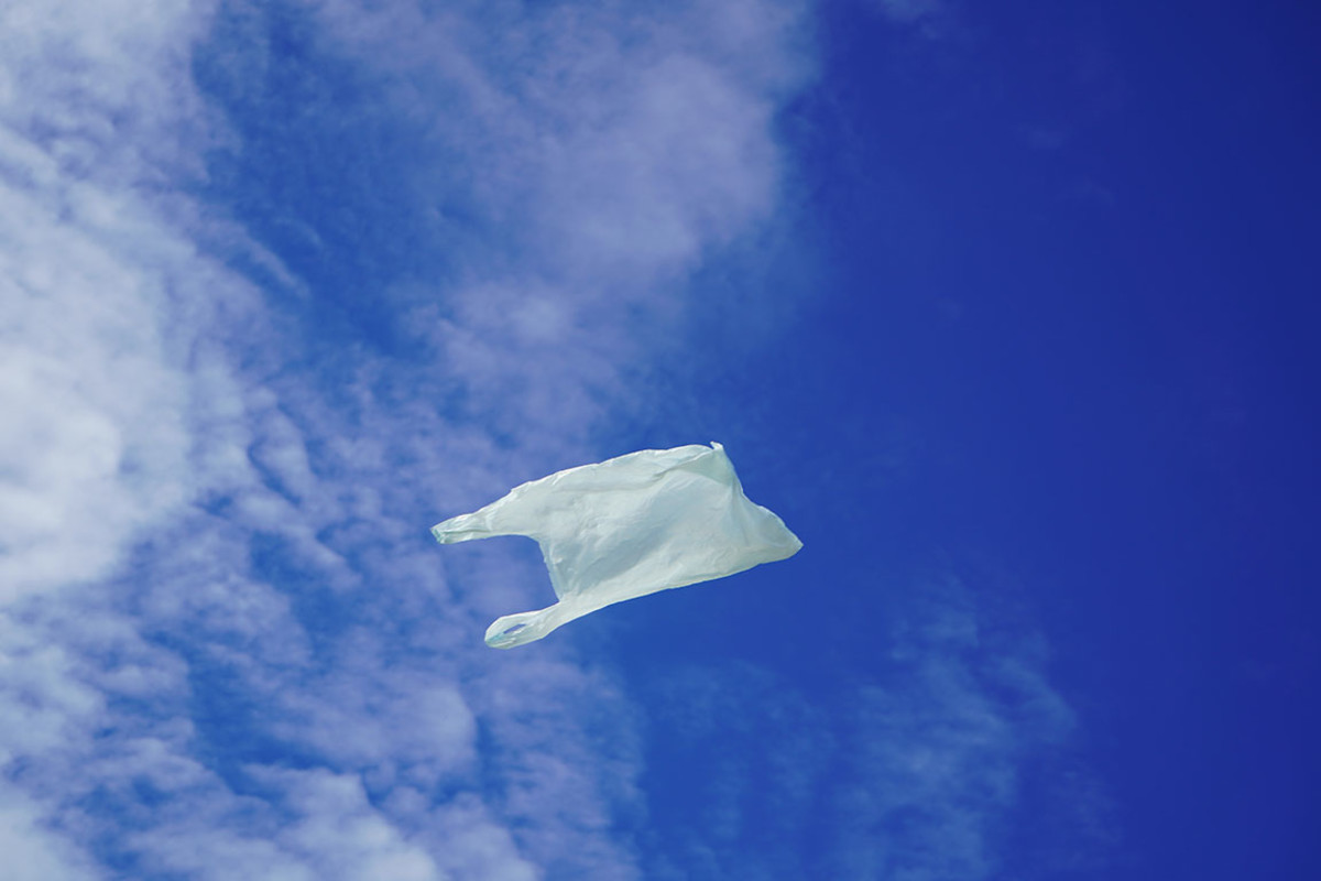 How Long It Takes for These Common Items to Decompose - TheStreet