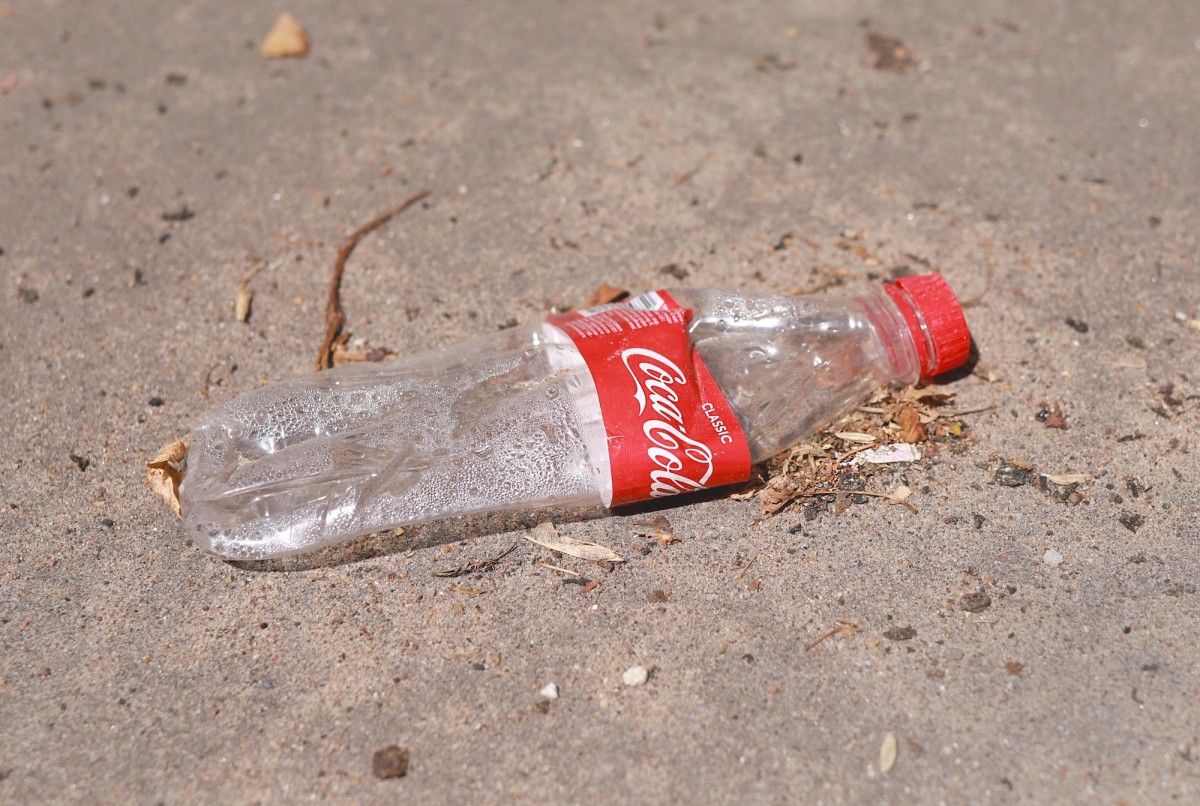 How Long It Takes for These Common Items to Decompose - TheStreet