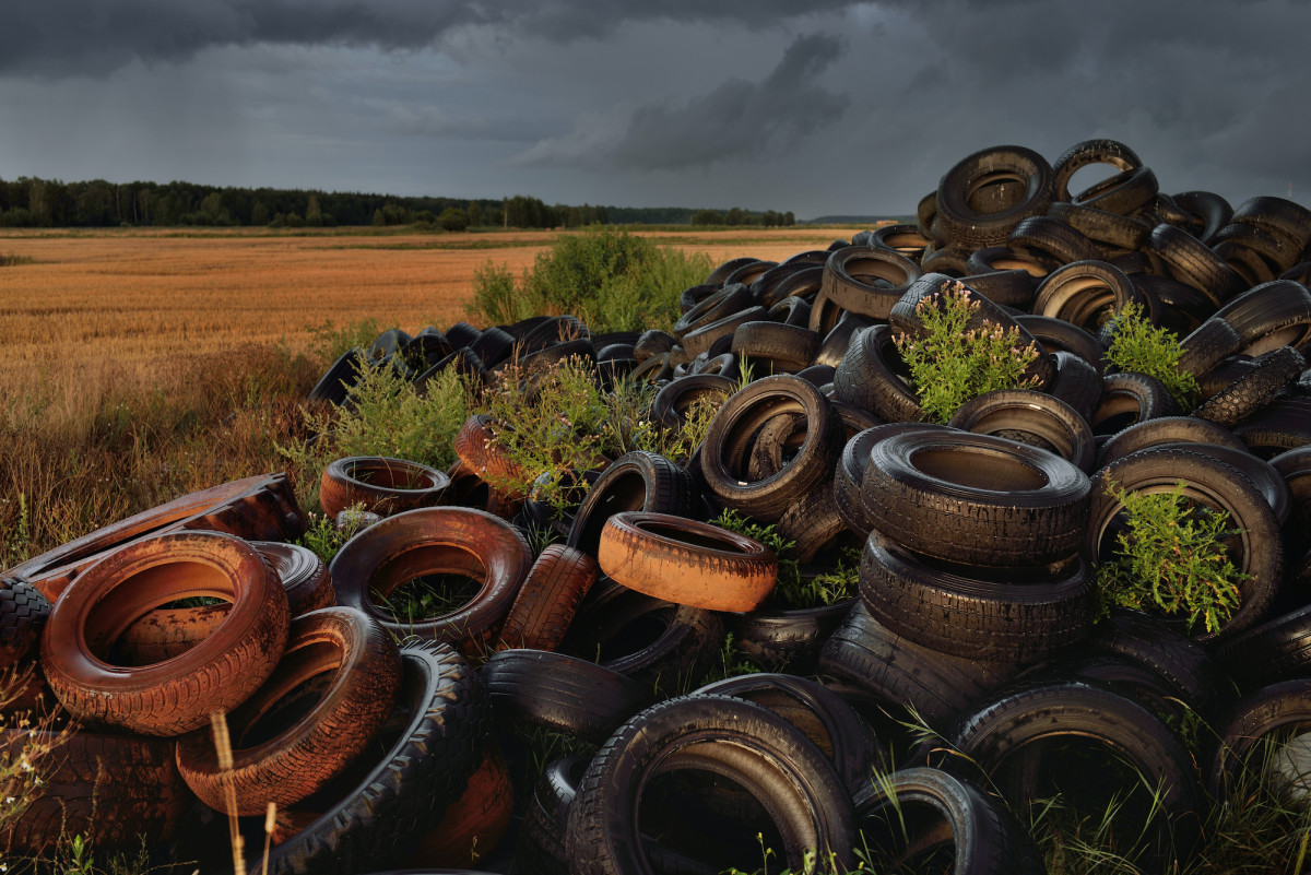 How Long It Takes for These Common Items to Decompose - TheStreet