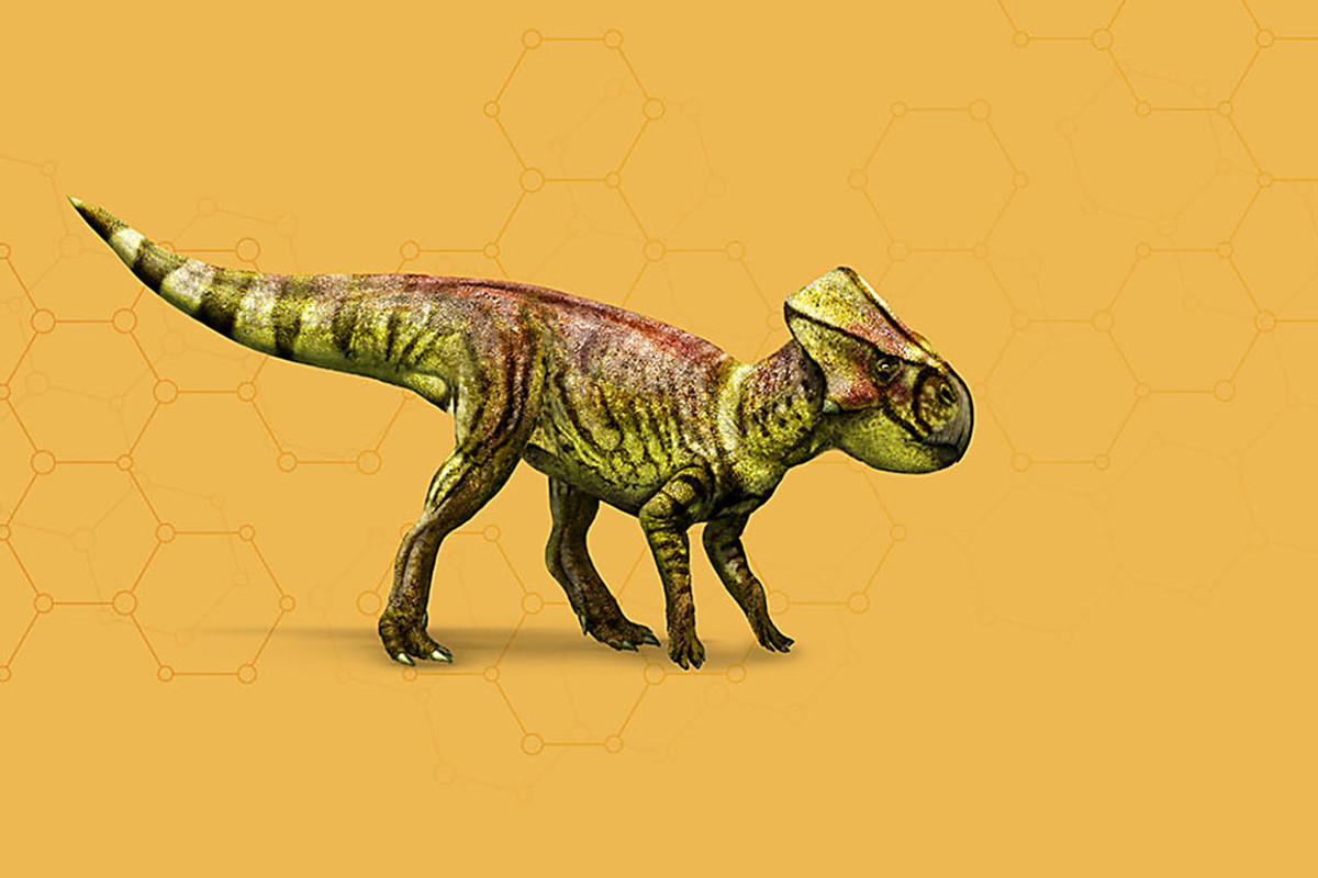 Every Dinosaur in The Jurassic Park and Jurassic World Movies - TheStreet