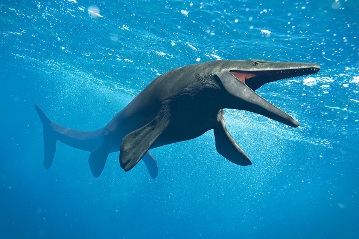 Every Dinosaur in The Jurassic Park and Jurassic World Movies - TheStreet