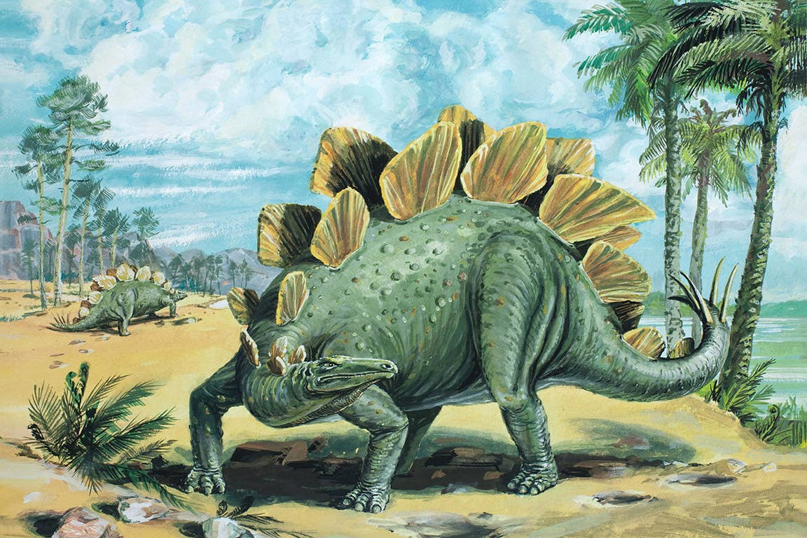 Every Dinosaur in The Jurassic Park and Jurassic World Movies - TheStreet