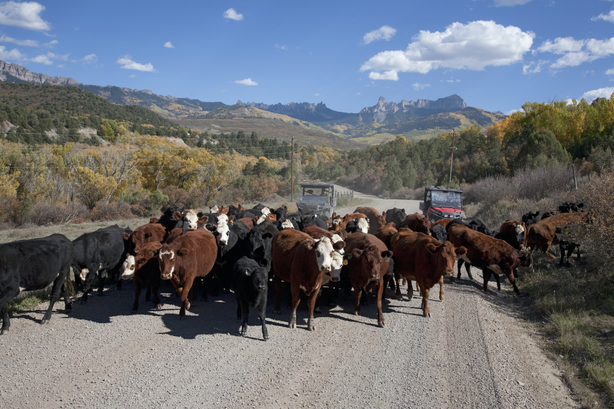 The Top Imports and Exports for All 50 States - TheStreet