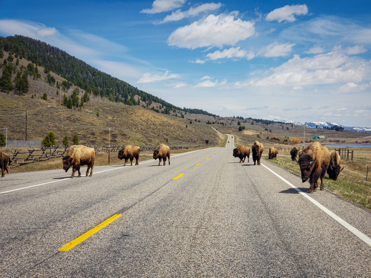 The Countries With the Cleanest Air - TheStreet