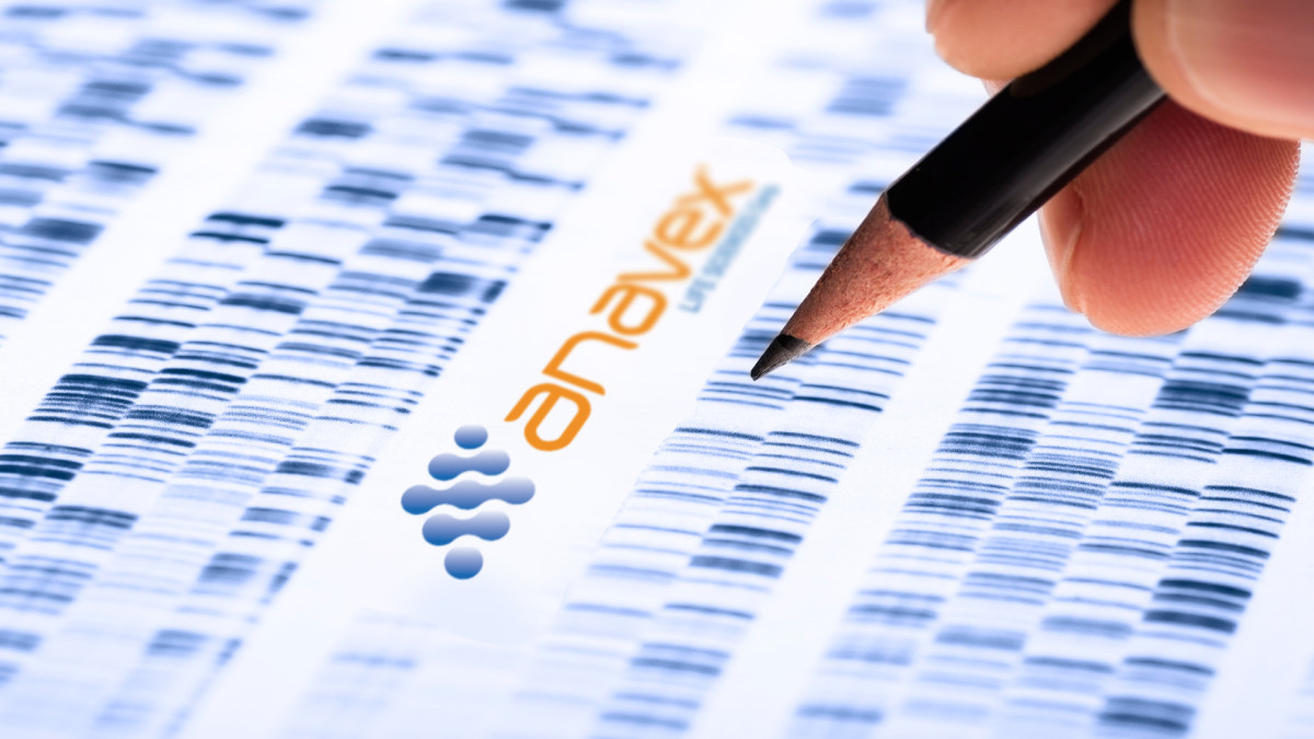 Anavex Life Sciences Climbs on Progress With Rett Syndrome Drug - TheStreet