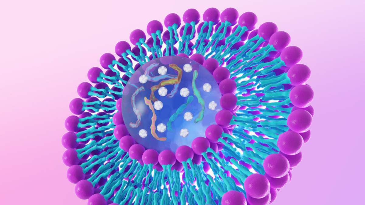 IMV Stock Soars on Ovarian Cancer Treatment's 'Promising' Test Results ...