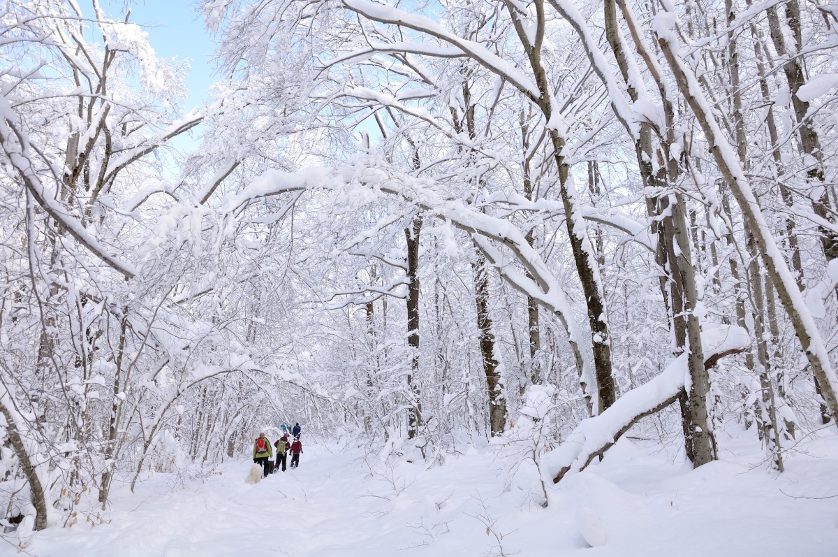 20 Places In the U.S. That Get the Most Snow - TheStreet