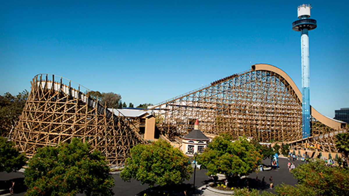 Does Great America Allow Dogs