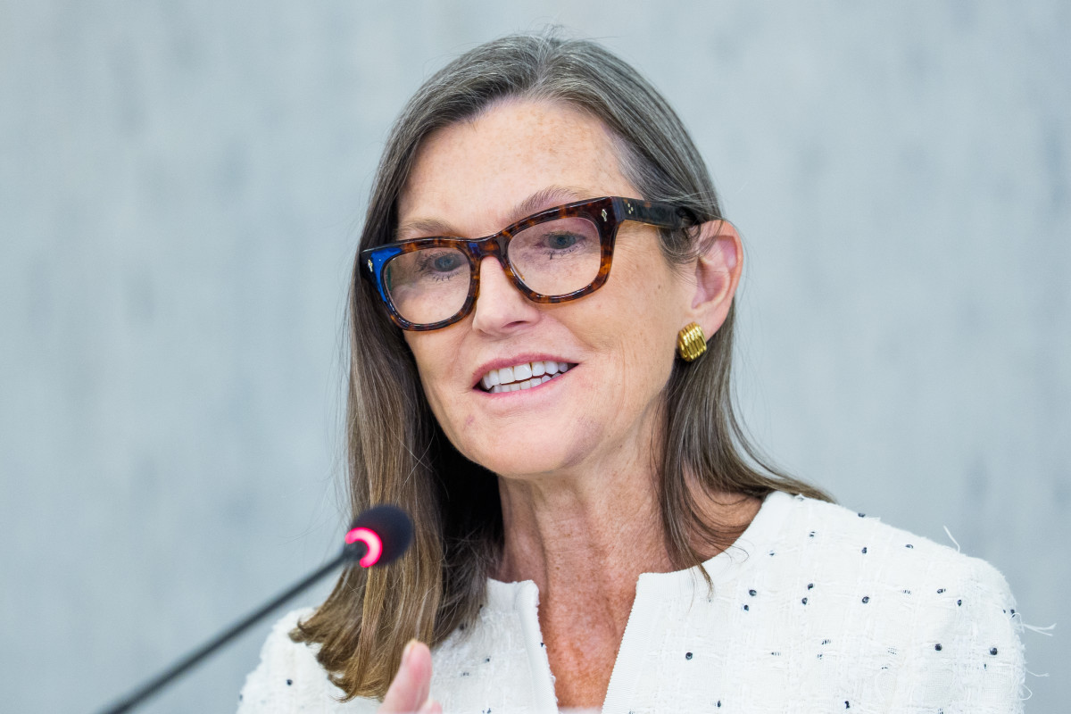 Cathie Wood loads up on favorite crypto stocks as markets slide ...