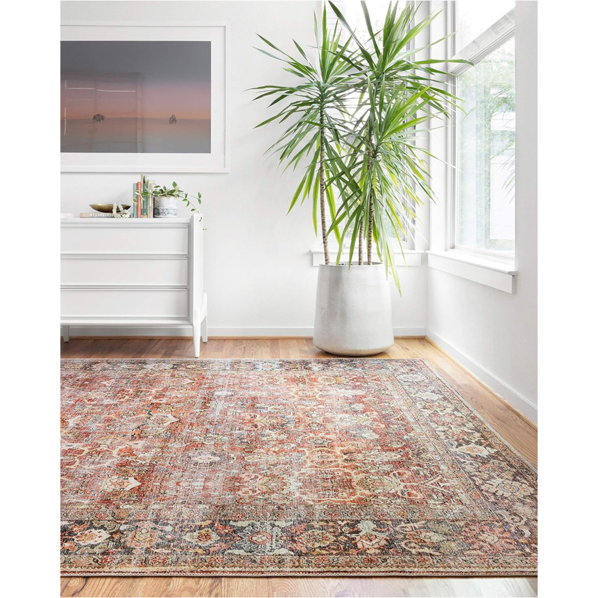 Amazon is selling a $149 area rug for only $46 - TheStreet