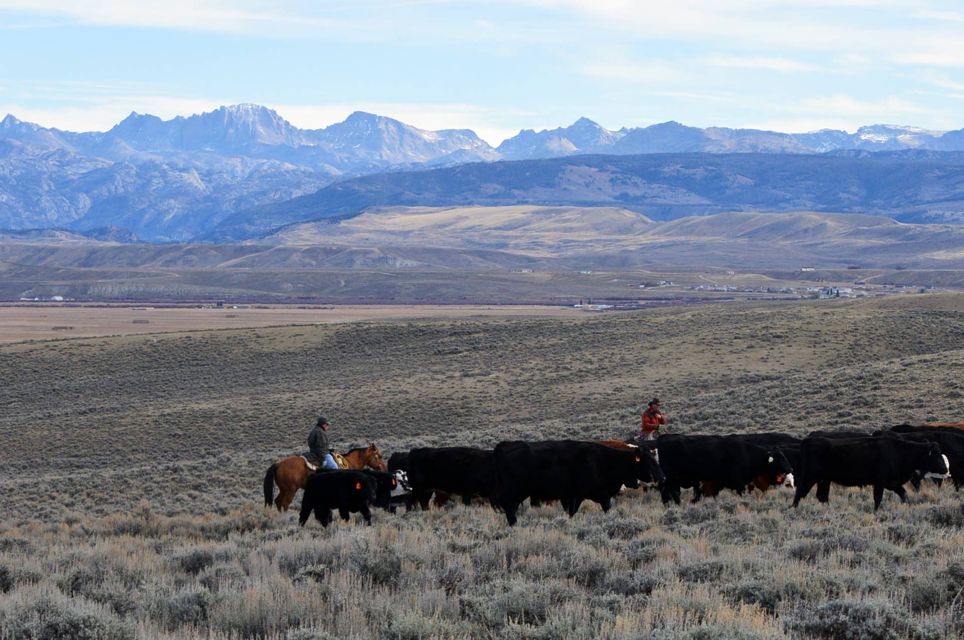 Wyoming highway workers' union plans to put Bitcoin on balance sheets ...