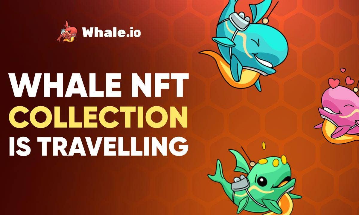 Whale.io to Bridge NFT Collection from TON Blockchain to Solana ...