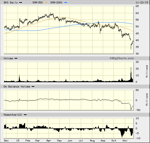 Dick's Sporting Goods (DKS) Stock: On the DL for Now - TheStreet