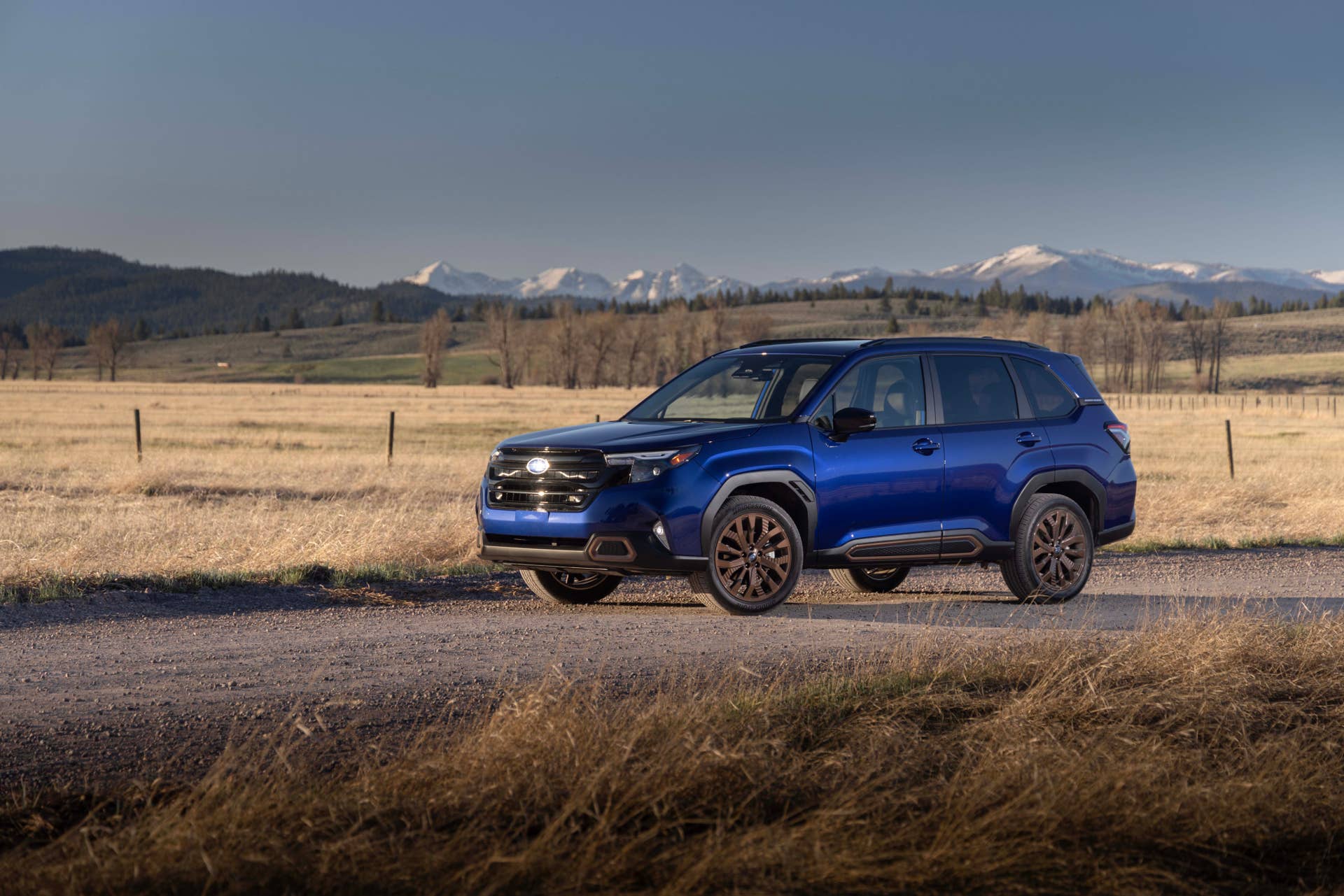 The 10 most popular new cars & SUVs of 2025 (so far), according to ...