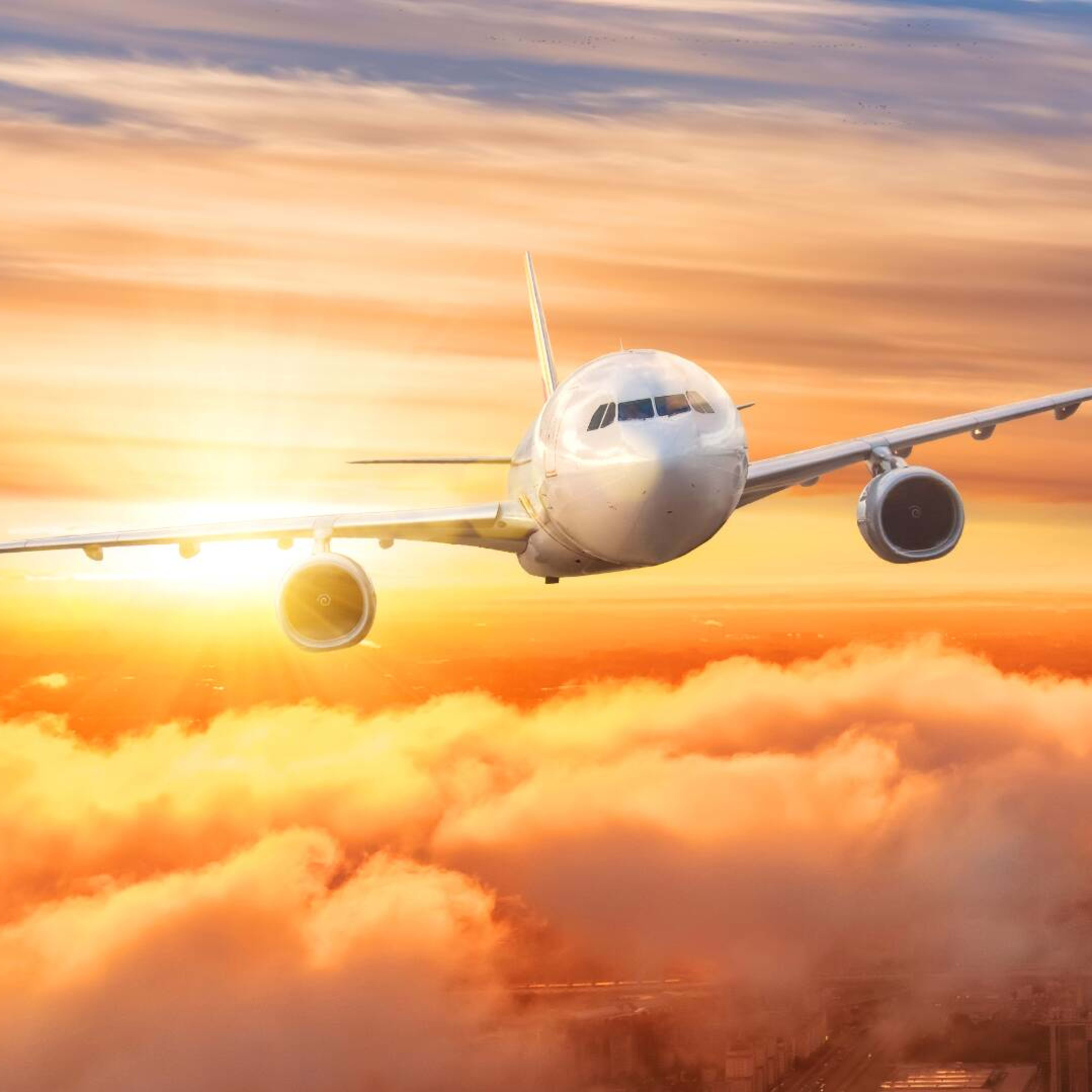 Another airline files for Chapter 7 bankruptcy, all flights canceled ...