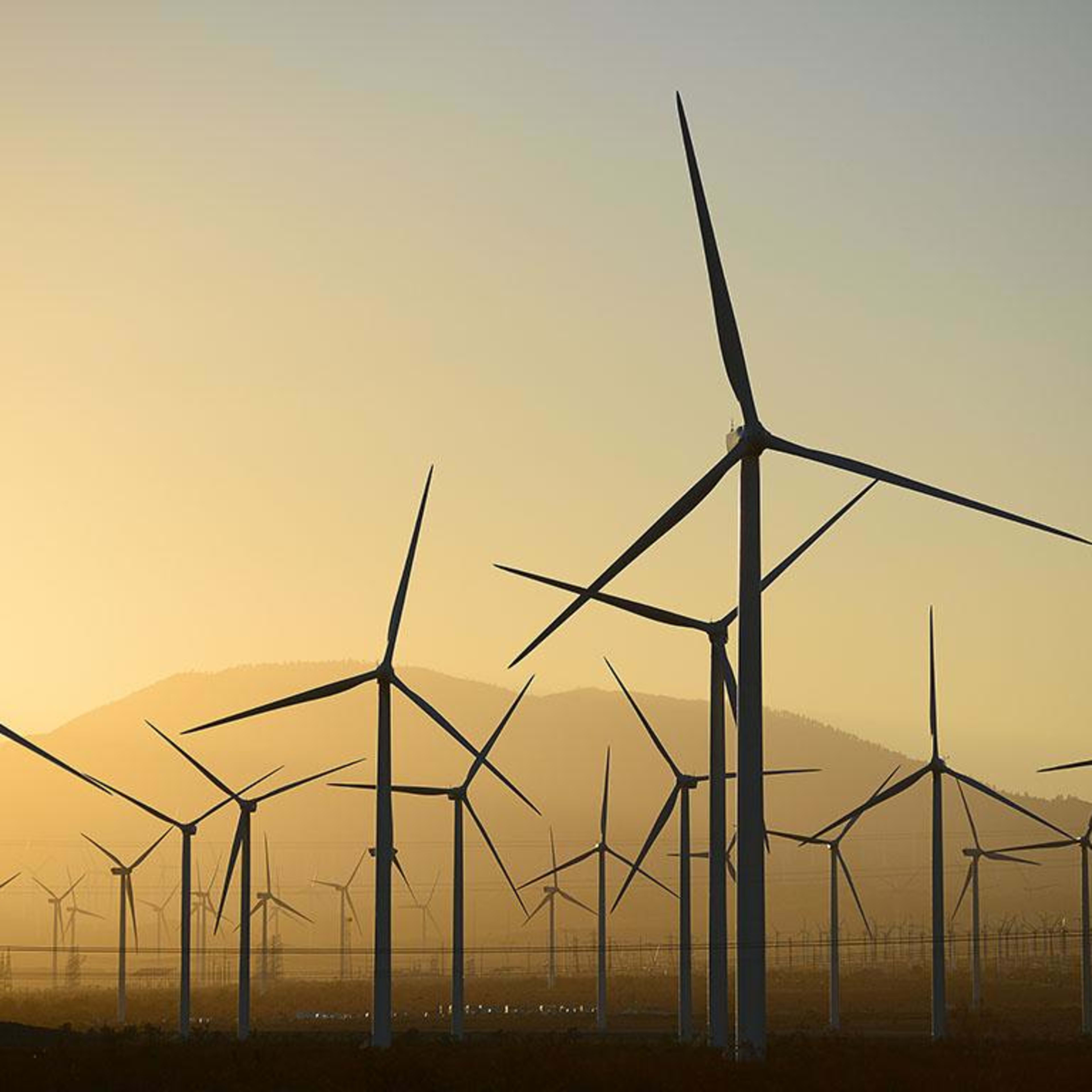 Walmart, CVS, Panera and more quietly close more stores - TheStreet